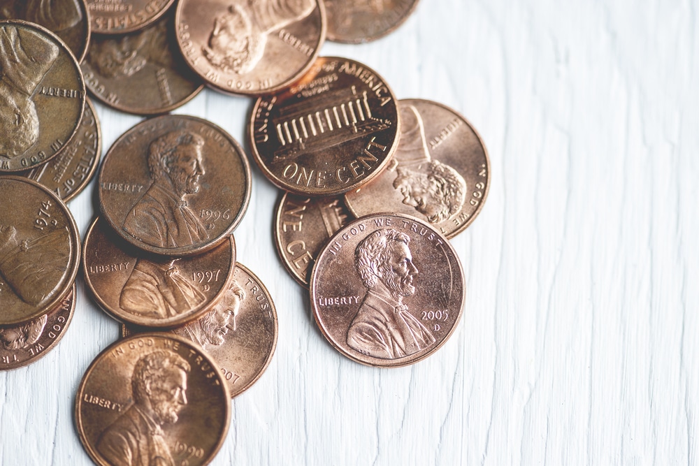 One Coin. Two Sides. - Raising Lemons